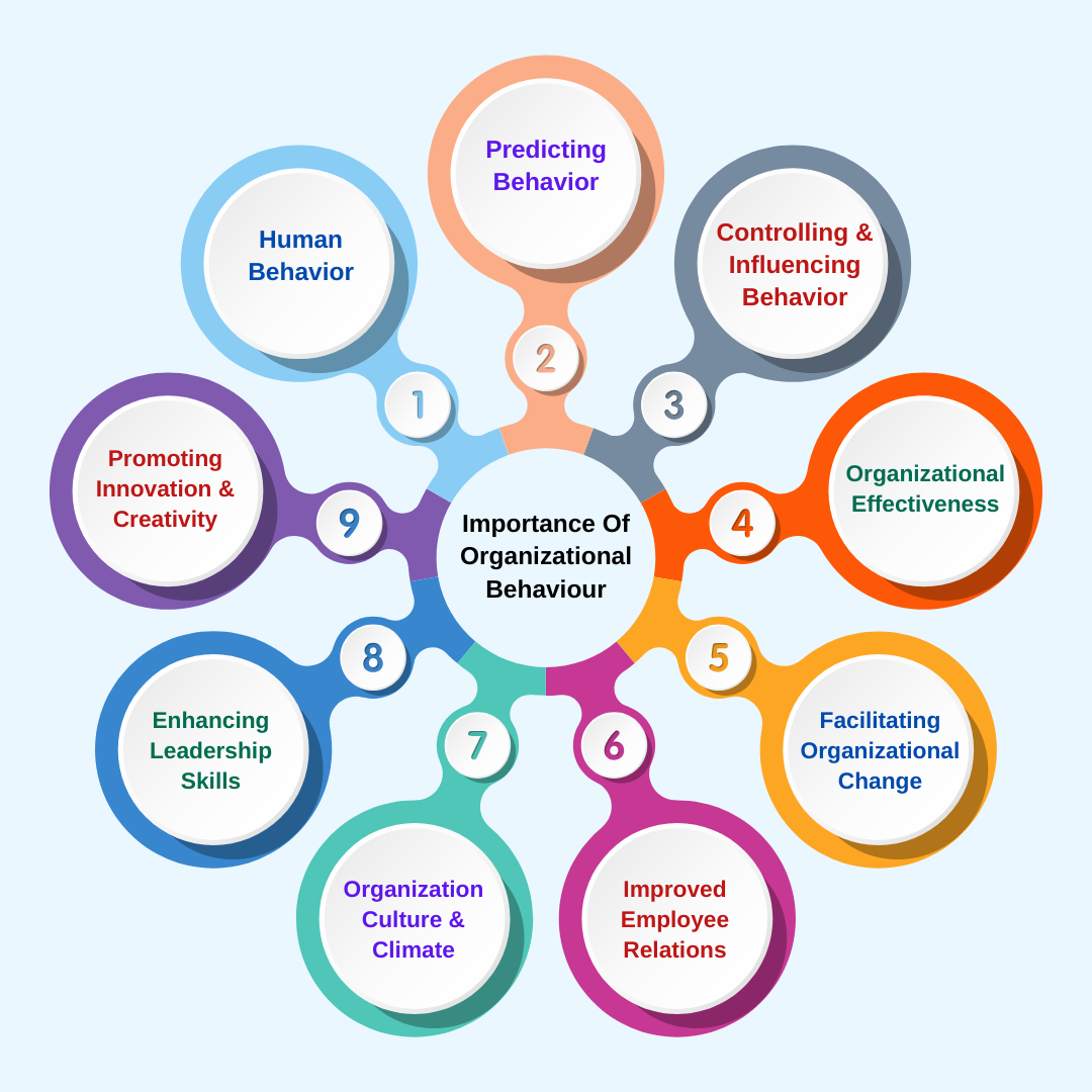 What is Organizational Behavior Management (OBM): A Complete Guide with ...